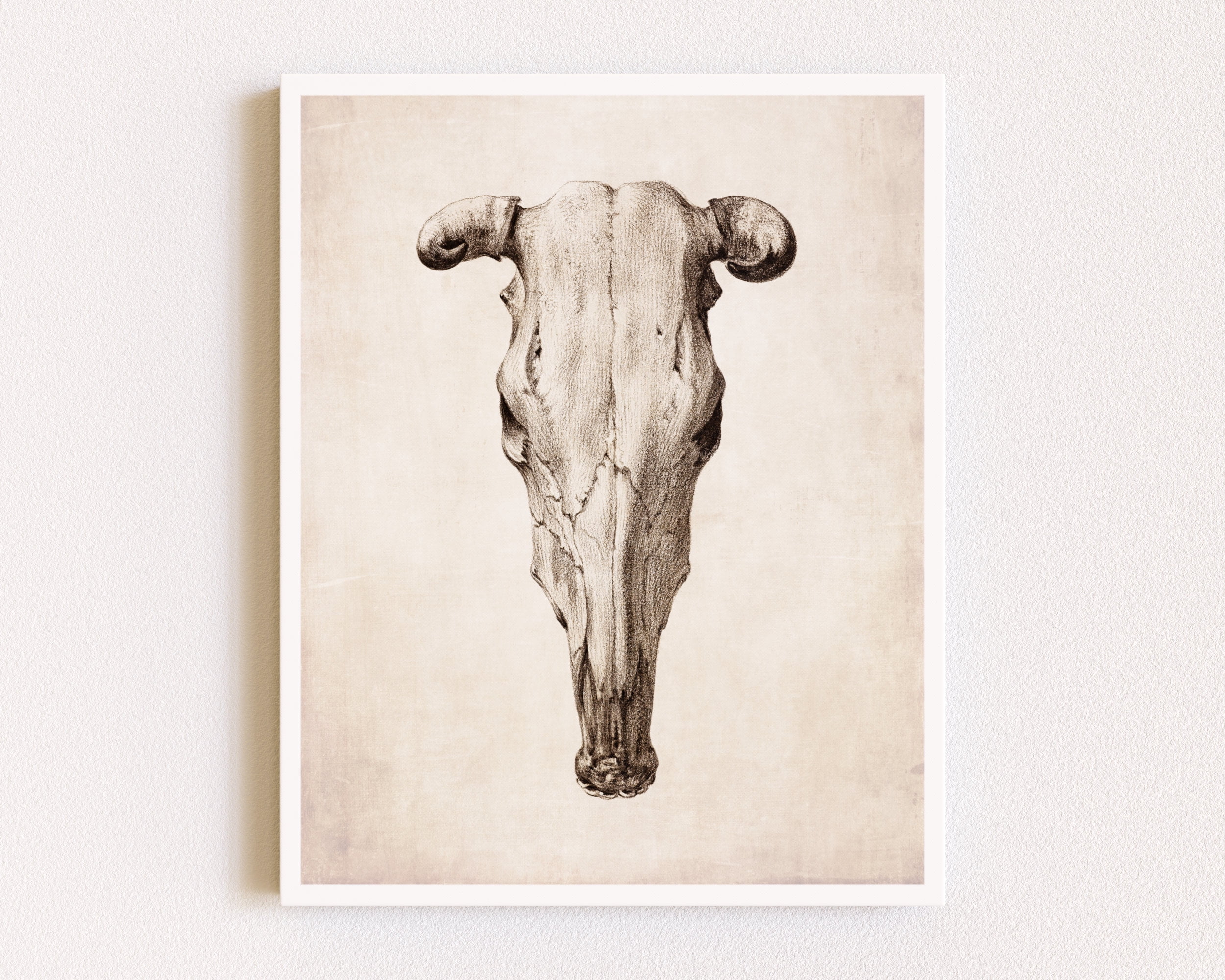 POSTER Steer Skull Sketch | Vintage Animal Skull Drawing | Rustic Southwestern Decor | Wall Art ...