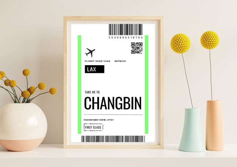 POSTER Stray Kids Changbin Art, SKZ Poster Poster, Boarding Pass Art ...