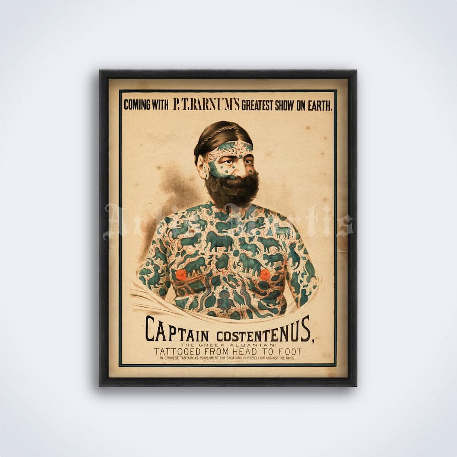 POSTER Tattooed Man Captain Costentenus - vintage freak show print ...