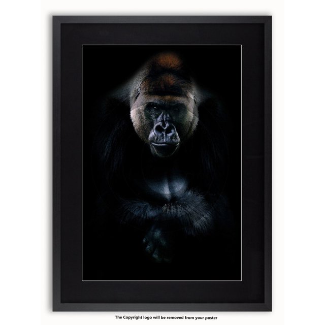 POSTER The Amazing Gorilla Poster-UNFRAMED - Walmart.com
