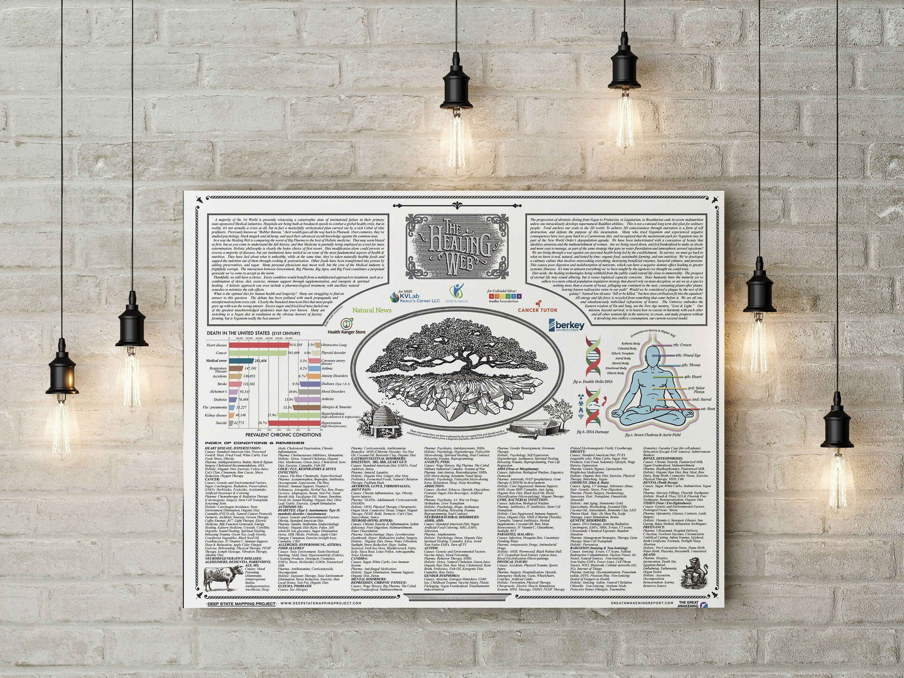 POSTER The Healing Web Poster - Natural Remedies Chart, , Gift, Ready ...