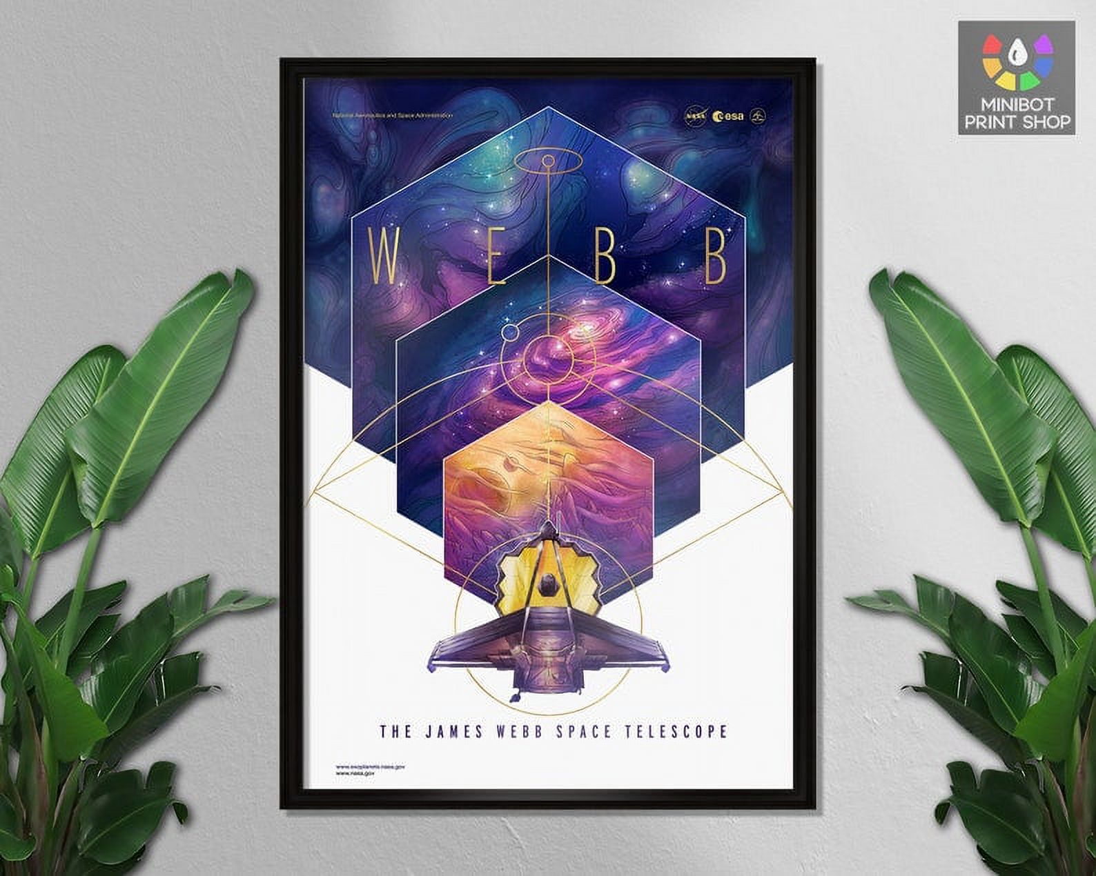 POSTER The James Webb Space Telescope Poster, Carina Nebula, Milky Way ...
