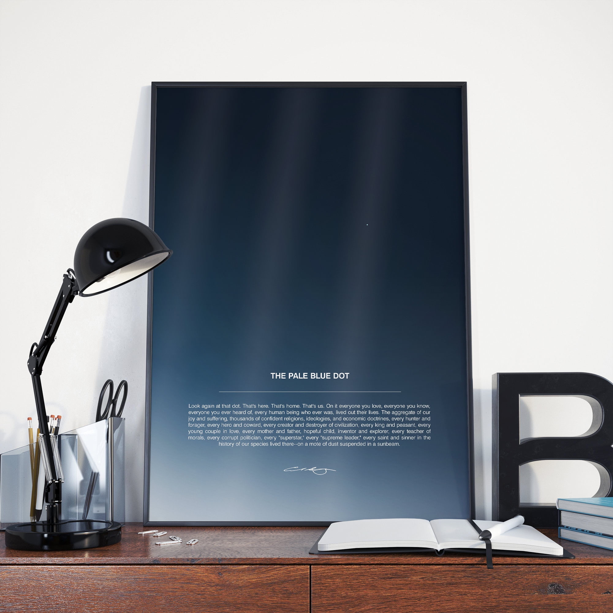 POSTER The Pale Blue Dot Print, Carl Sagan Quote, Poster, Print ...