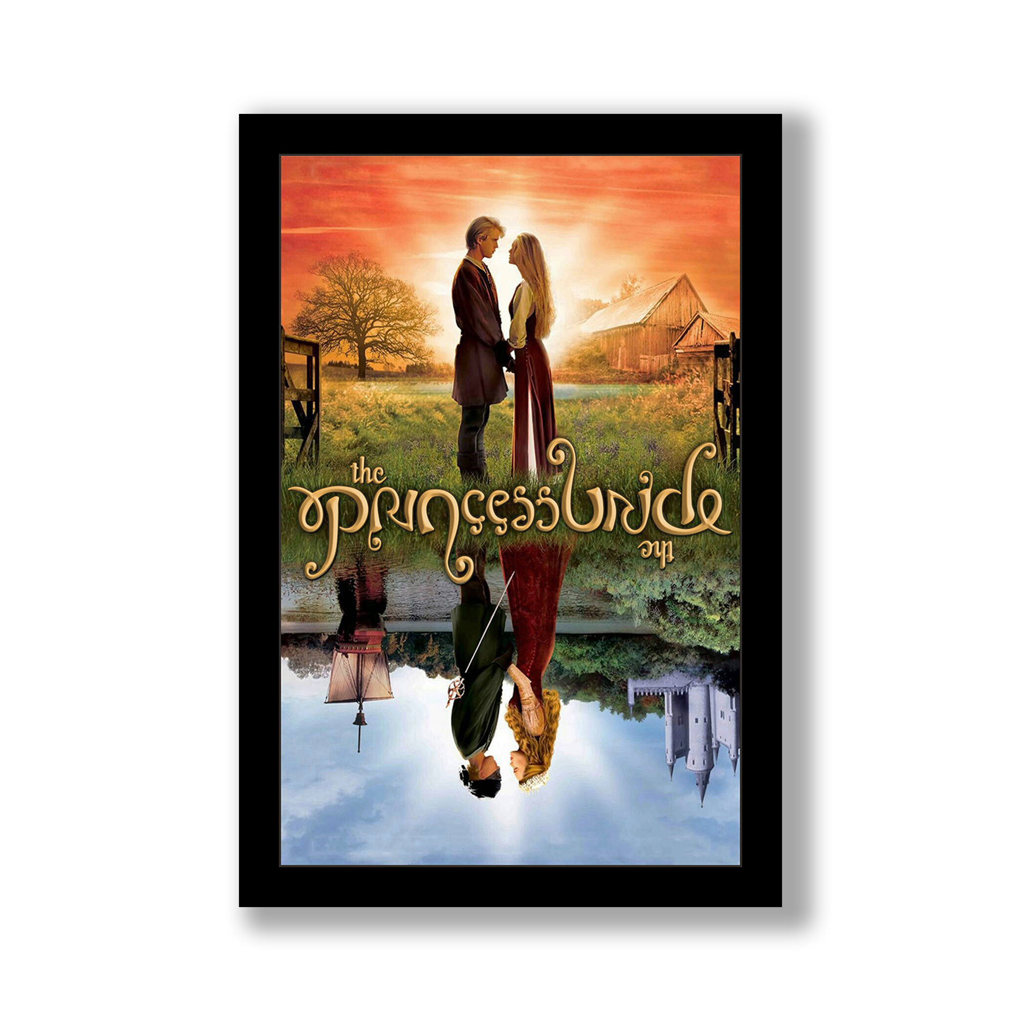 POSTER The Princess Bride - Movie Poster-UNFRAMED - Walmart.com