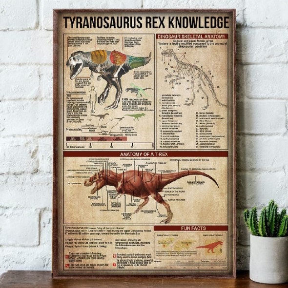 POSTER Tyranosaurus Rex Knowledge, Dinosaur Skeleto, And Fun Facts ...