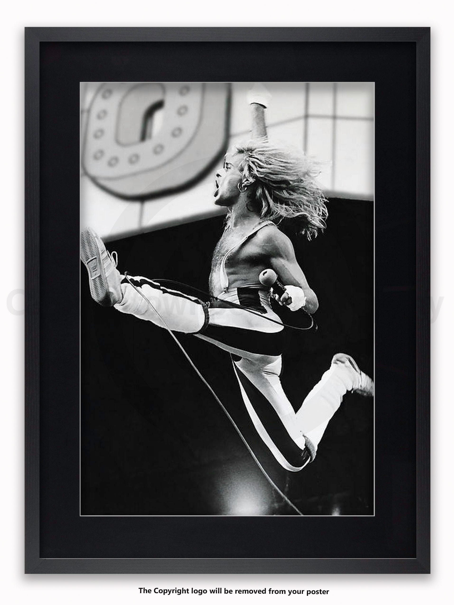 POSTER Van Halen - David Lee Roth 1980 - Licensed Poster-UNFRAMED ...