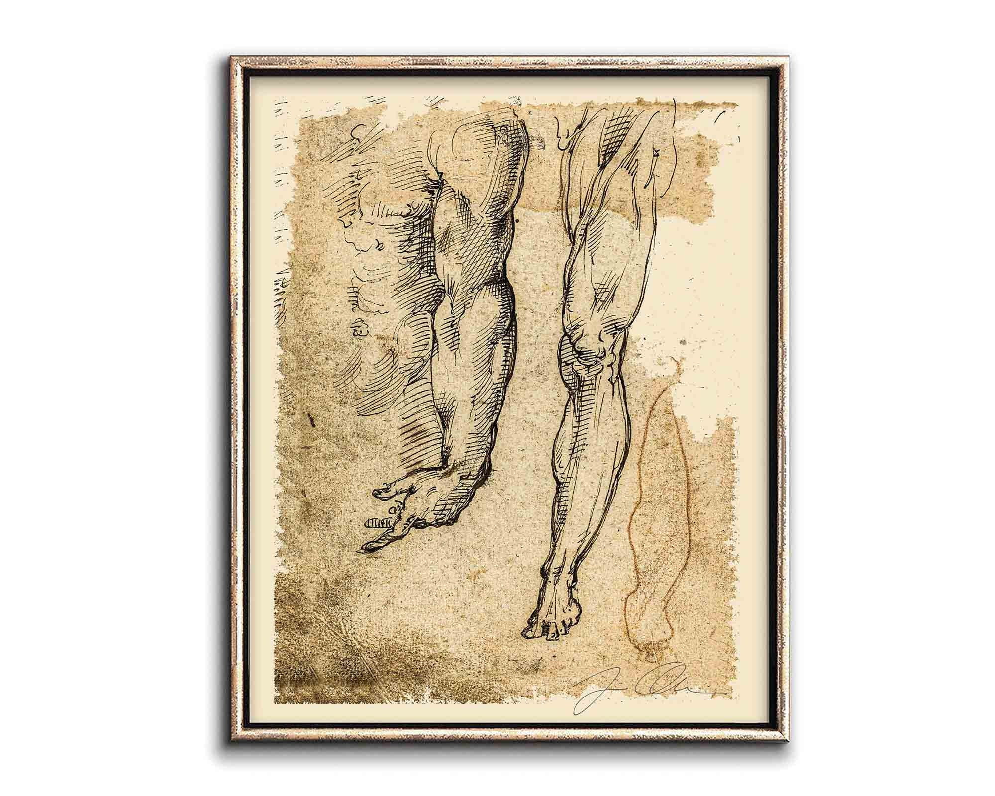 Poster Vintage Anatomy Art Science Illustrationprints Human Anatomy