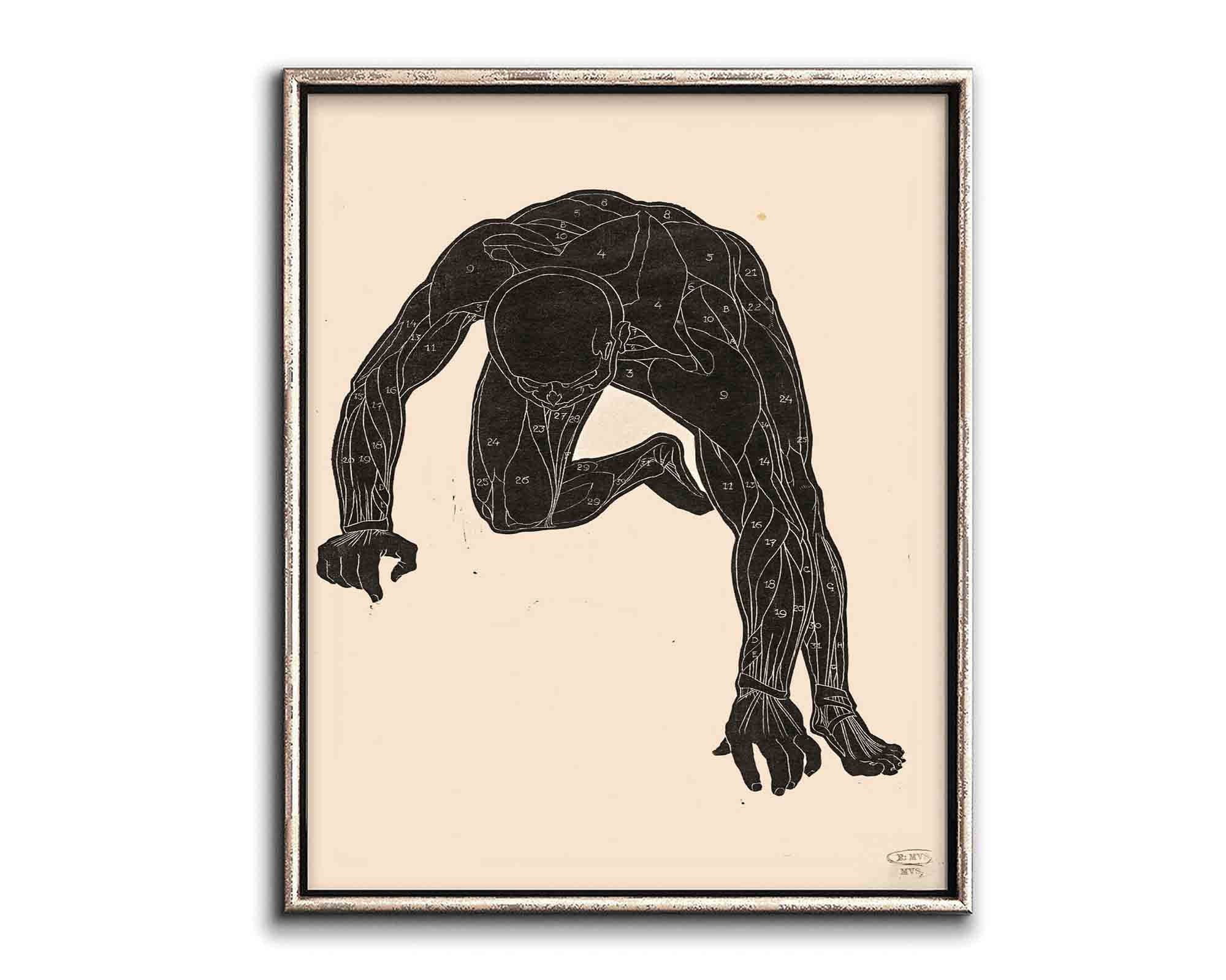 POSTER Vintage Anatomy Medical Poster, SciencePrints, Male Figure Wall ...