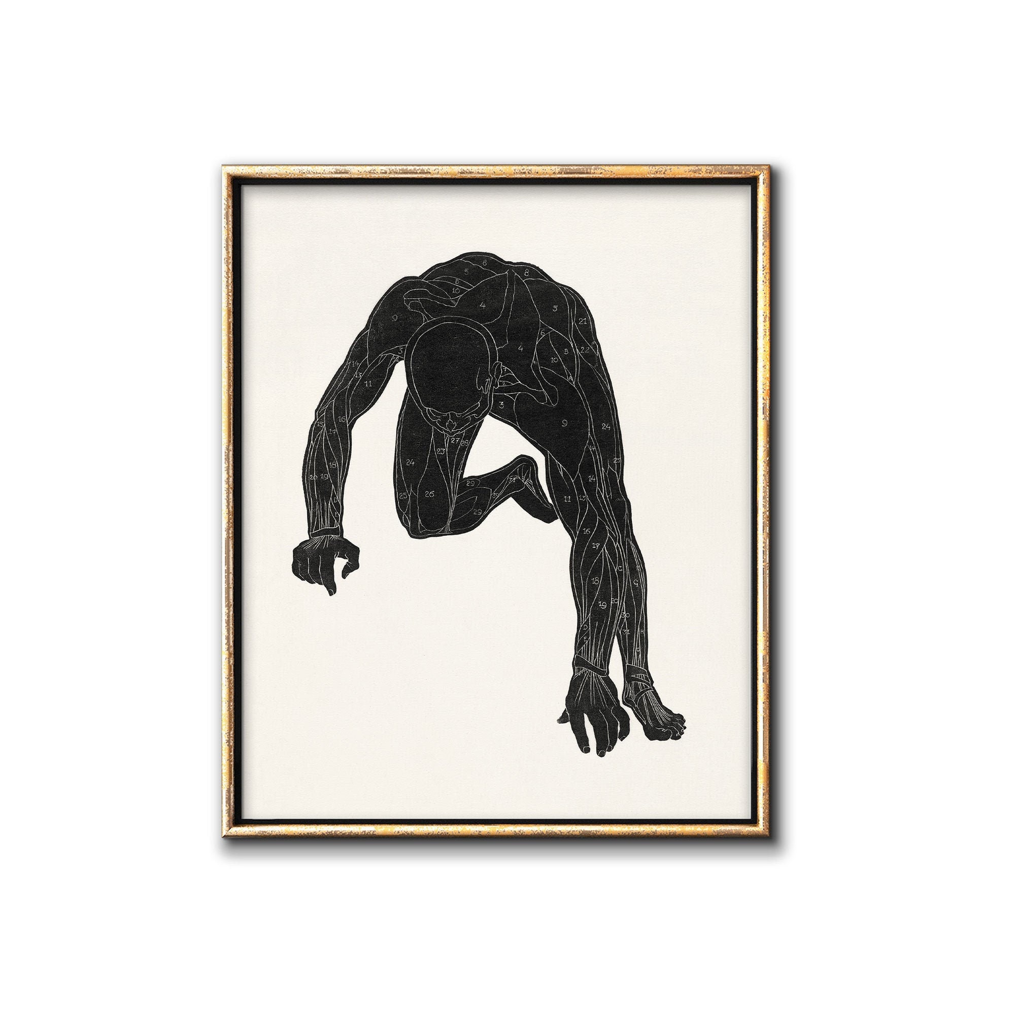 POSTER Vintage Anatomy Poster , Science Wall Art , Male Figure ...