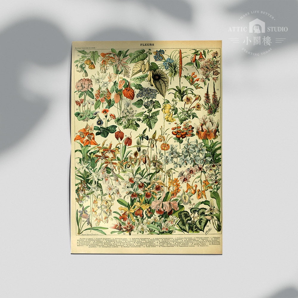 POSTER Vintage Flowers Poster, Fleur - Adolphe Millot Illustration ...