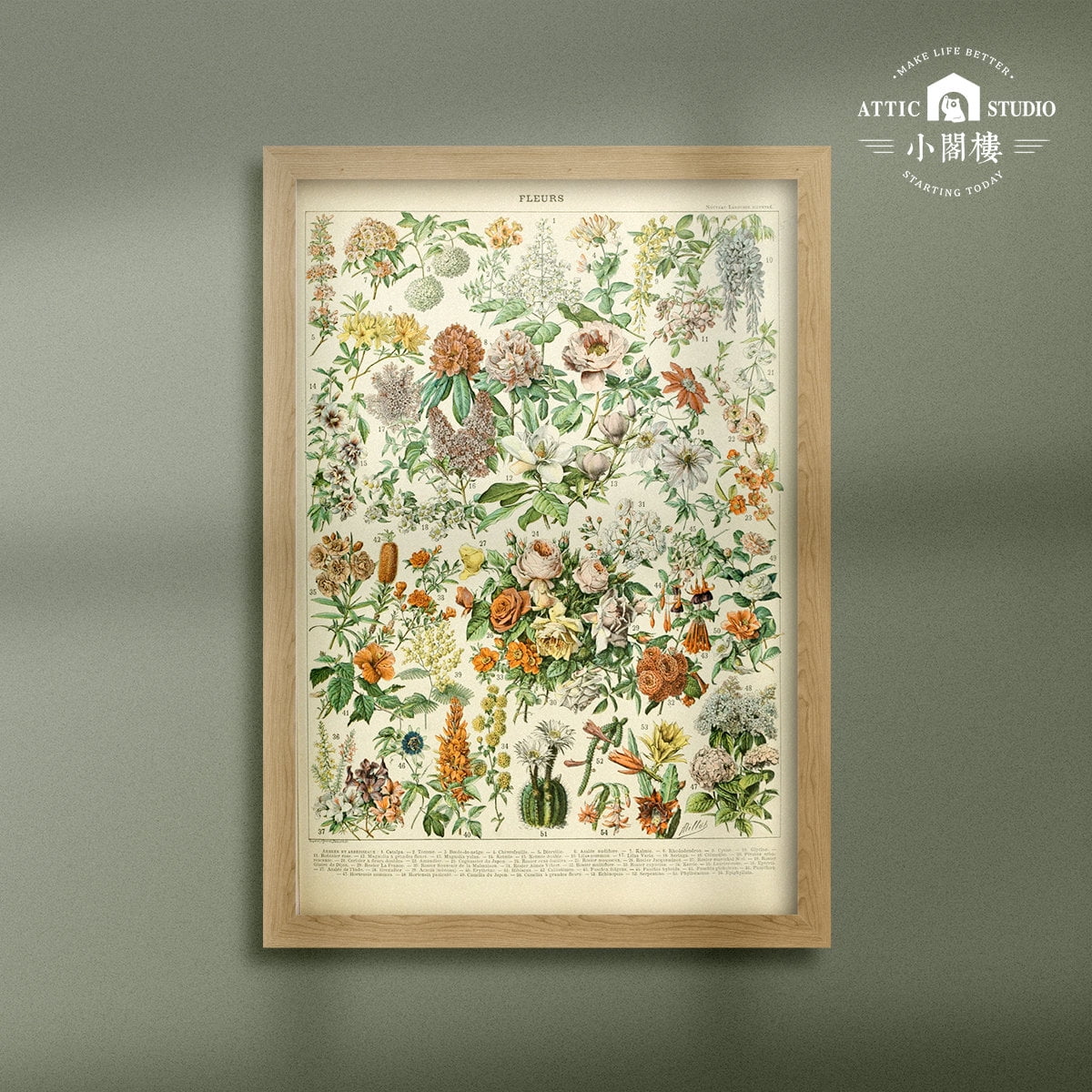 POSTER Vintage Flowers Poster, Framed - Adolphe Millot Illustration ...