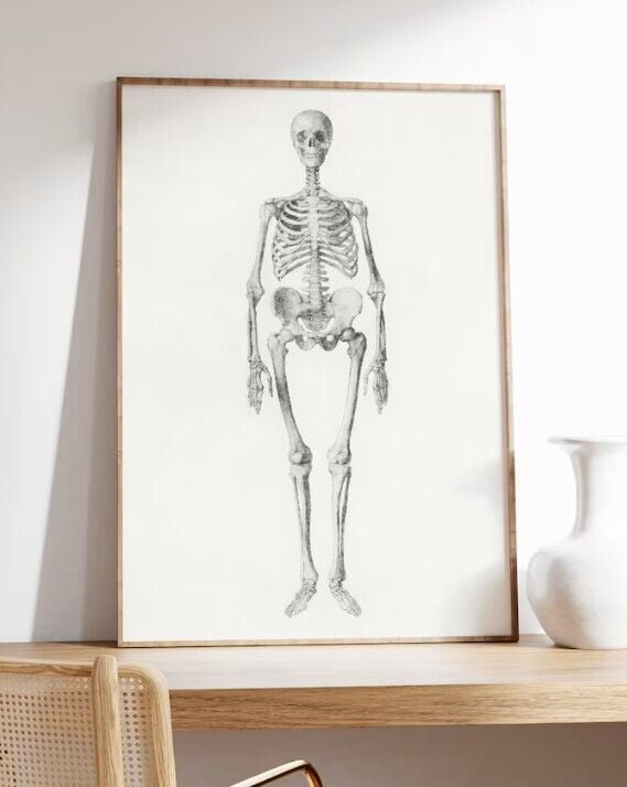 POSTER Vintage Human Skeleton Print, Anatomy Wall Art, Medical Poster ...