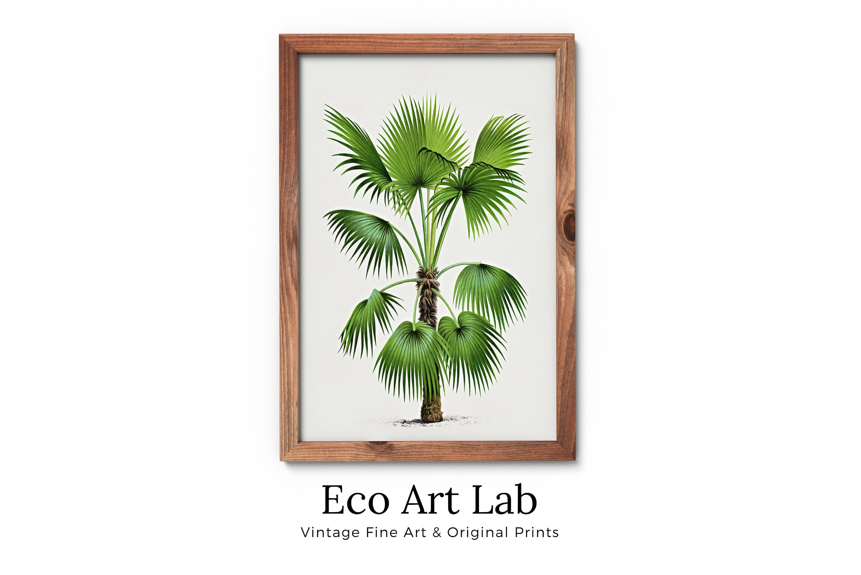 POSTER Vintage Palm Tree Drawing Print Tropical Wall Art. Palm Leaves ...