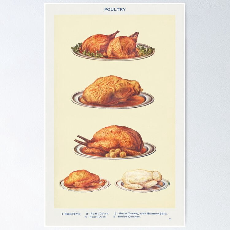 POSTER Vintage Poultry POSTER UNFRAMED, 8x12 - Walmart.com