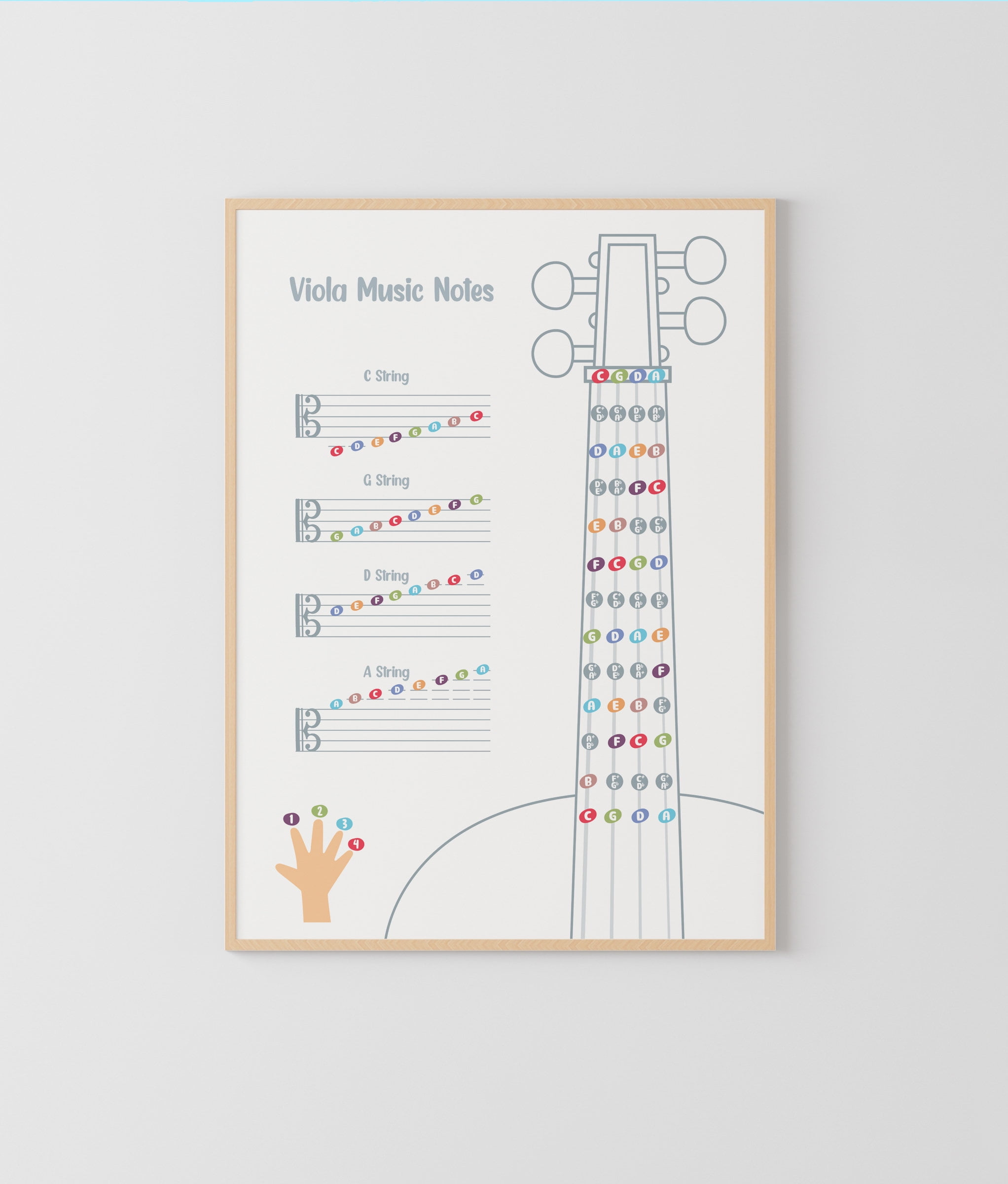 POSTER Viola Music Notes Poster, Music Education, Viola Theory, Music ...