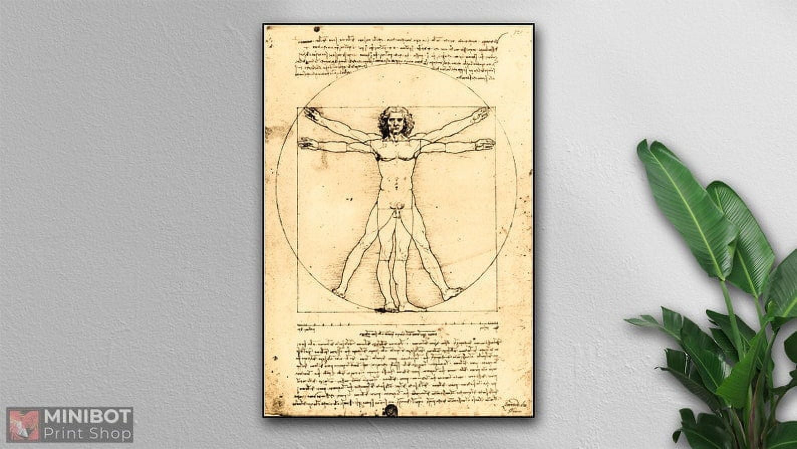 POSTER Vitruvian Man by Leonardo da Vinci - Reproduction Print-UNFRAMED ...
