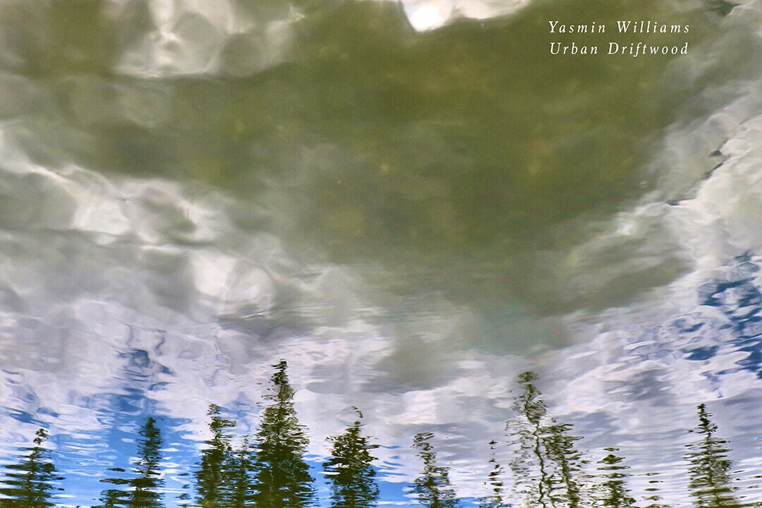 POSTER Yasmin Williams Urban Driftwood Music Album Wall Art Home Decor ...