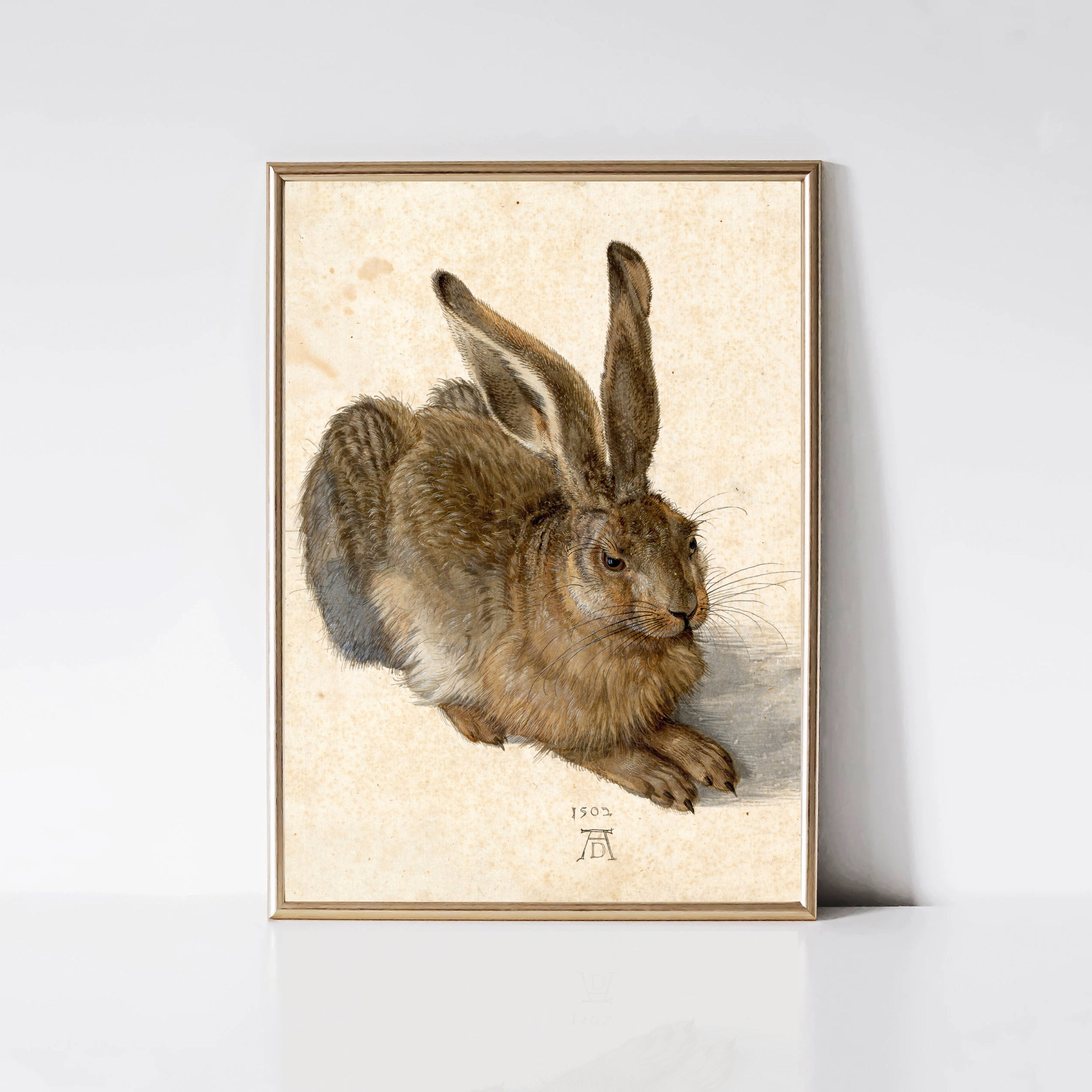 POSTER Young Hare by Albrecht Durer | Vintage Rabbit Painting | Neutral ...