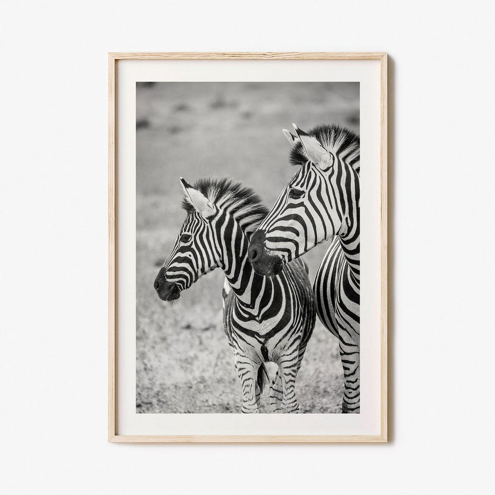 POSTER Zebra Photo Poster Print No 2, Zebra Black and White Wall Art ...