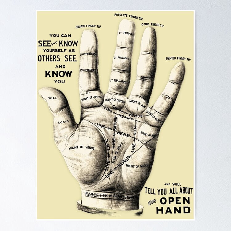 POSTER hand palm reading vintage illustration POSTER UNFRAMED, 24x36 ...