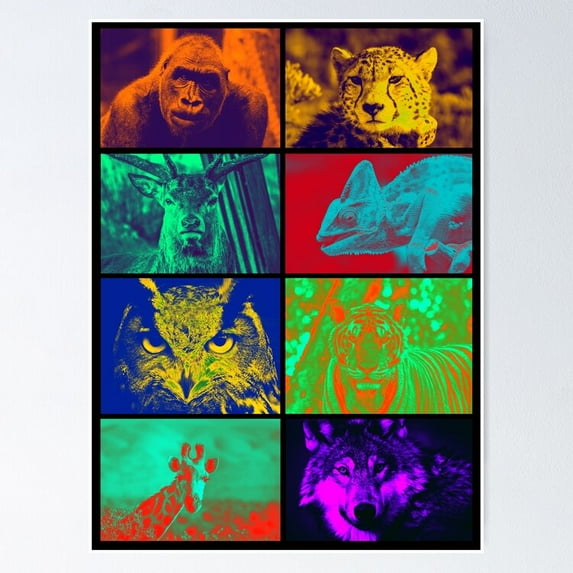 POSTER wild animals in high contrast POSTER UNFRAMED, 8x12 - Walmart.com