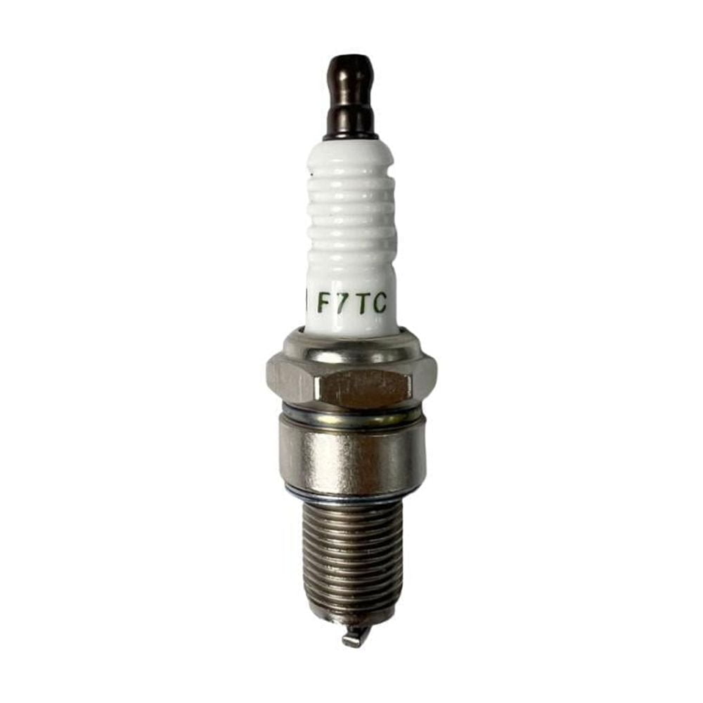 POWER PRODUCTS Spark Plug for Predator 5000-Watt Dual-Fuel Inverter ...