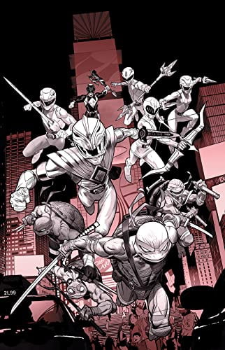 Pre-Owned POWER RANGERS TEENAGE MUTANT NINJA TURTLES B&W HC Hardcover ...