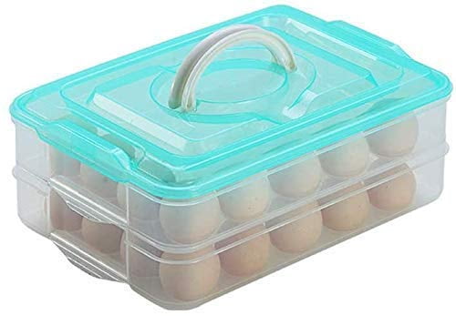 POXEFLIP 2 Layer 24 Grids Egg Storage Tray Box with Lid Egg Storage ...
