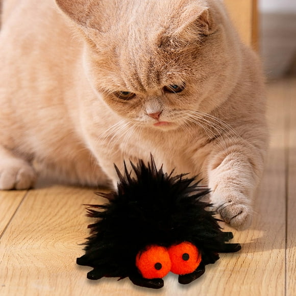 Stocking Stuffer For Cats