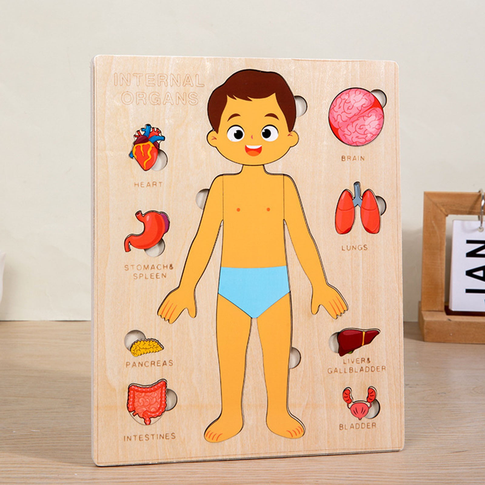 PPgejGEK Wooden Body Puzzles for Kids Toddler Girl Anatomy Puzzle Human ...