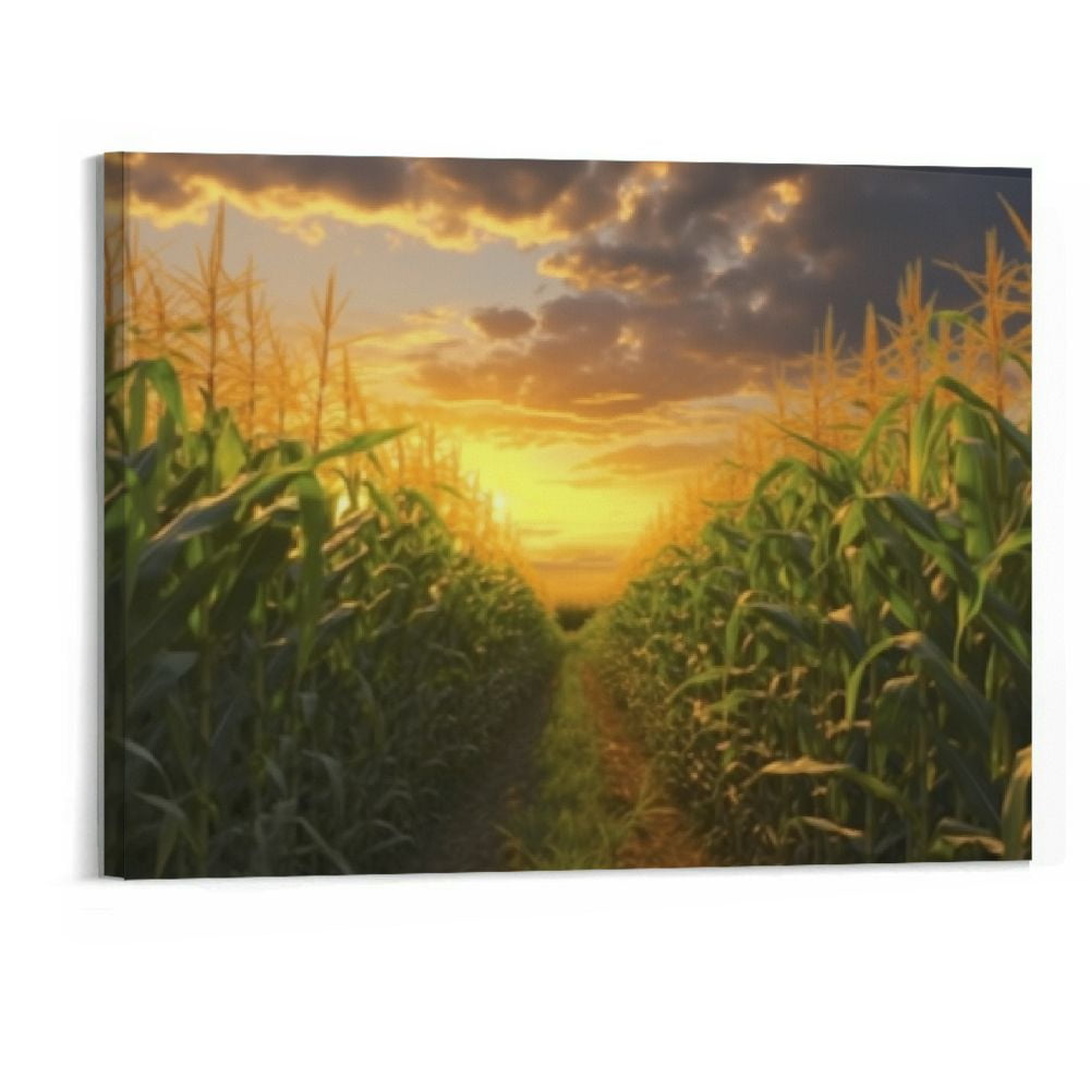 PRATYUS Art Wall Painting Corn field agricultural garden light shines ...
