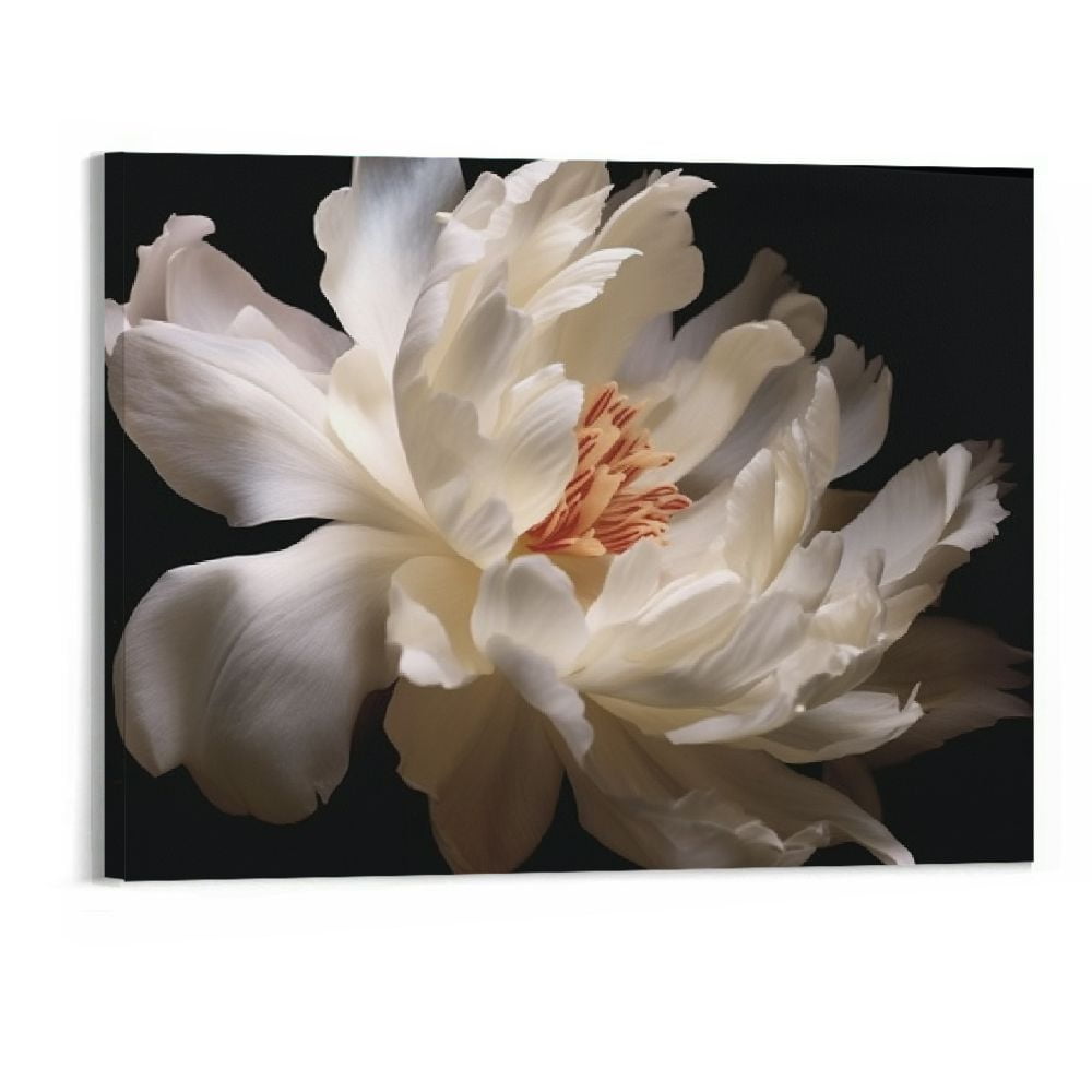 PRATYUS Black Bathroom Decor - White Tulip on Black Background Modern ... PRATYUS Black Bathroom Decor - White Tulip on Black Background Modern ...