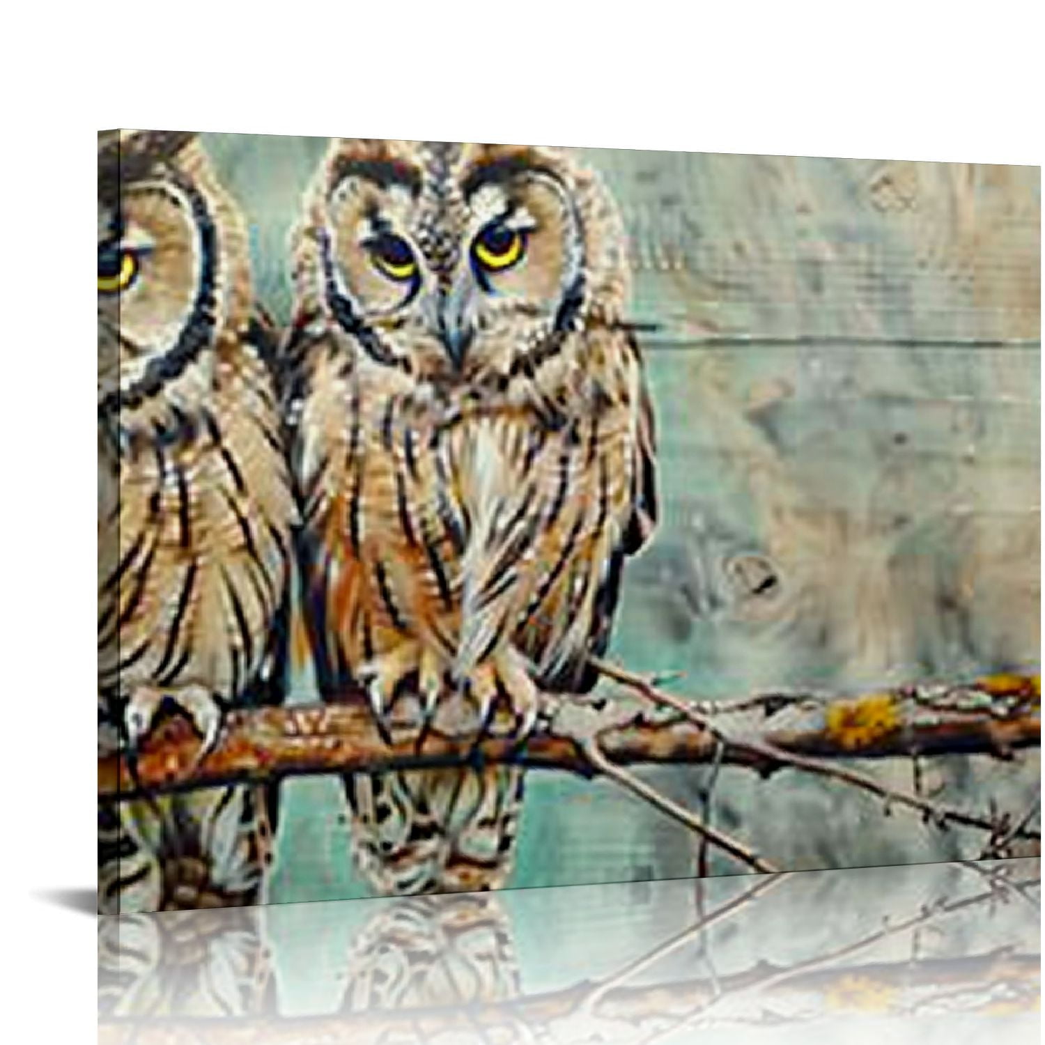 PRATYUS Farmhouse Funny Owl Decor Wall Art Rustic Owl God Says You Are ...