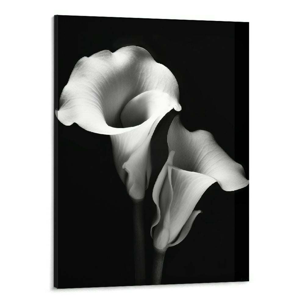 PRATYUS Tulip Lily Floral Wall Art Black and White Flower Wall Decor ... PRATYUS Tulip Lily Floral Wall Art Black and White Flower Wall Decor ...