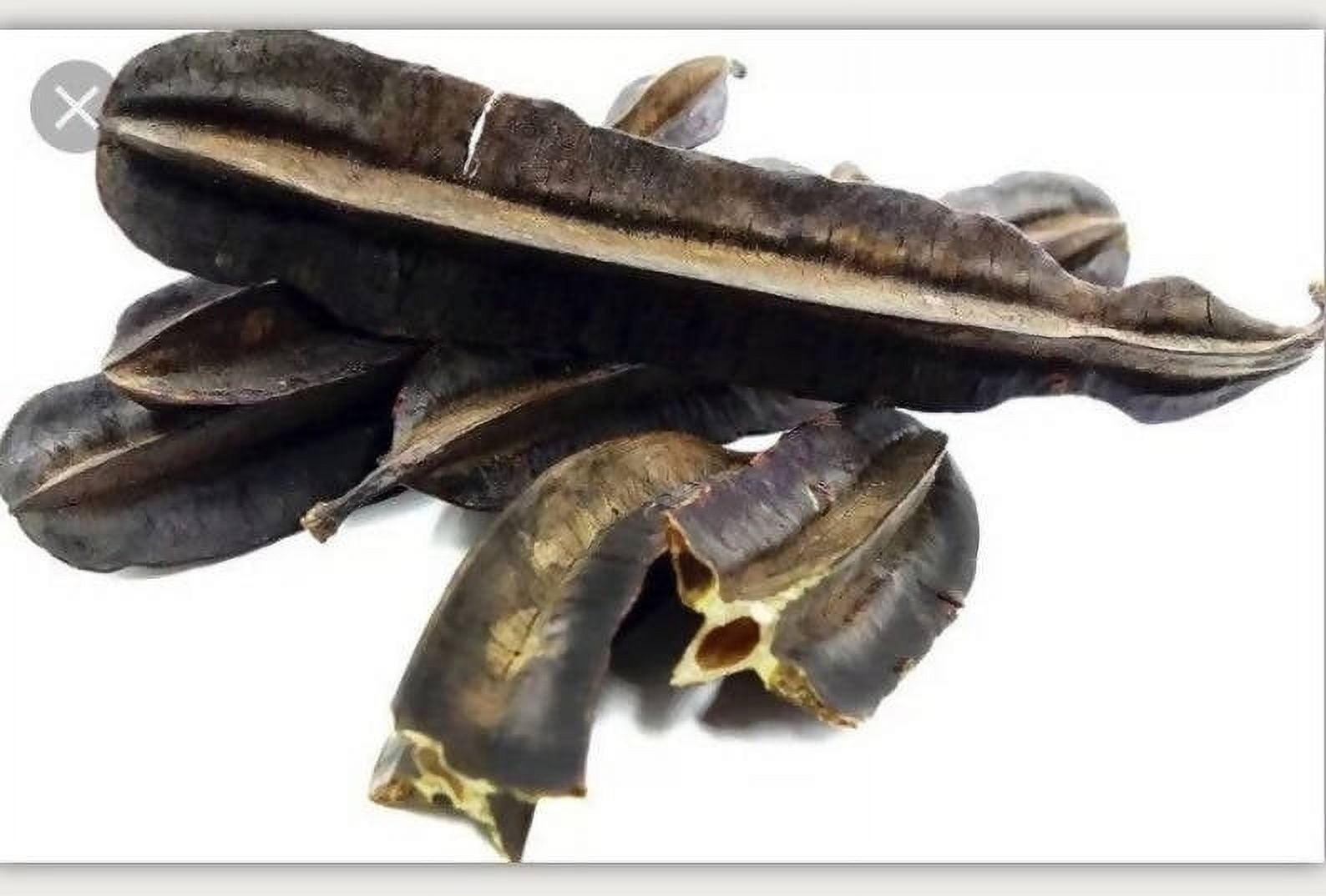PREKESE | Aidan Fruit| Tetrapleura Tetraptera | Effu | Ghanaian Prekese ...