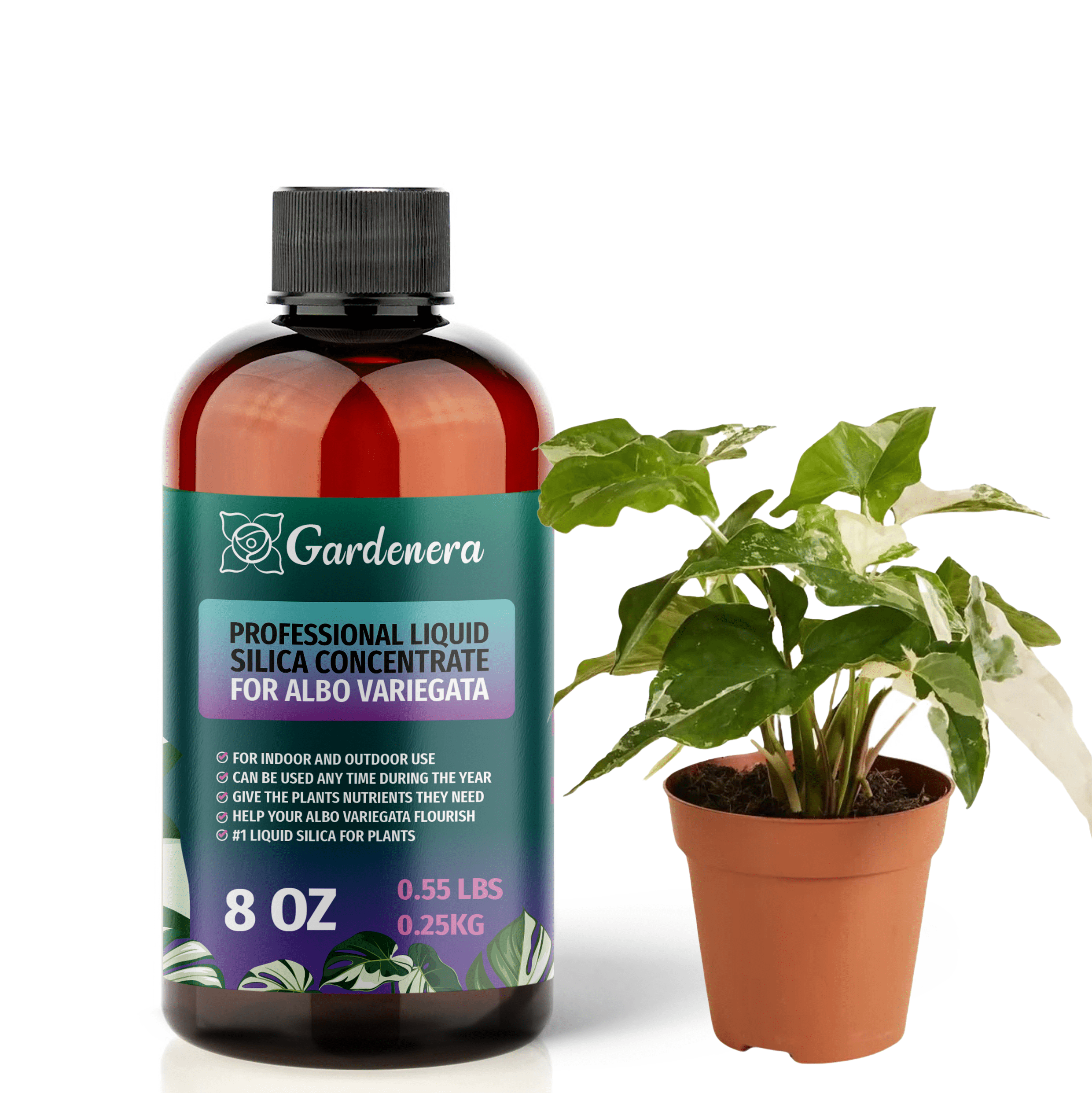 ⭐ PREMIUM Bioavailable Silica Fertilizer for Albo Variegata – 8oz ...
