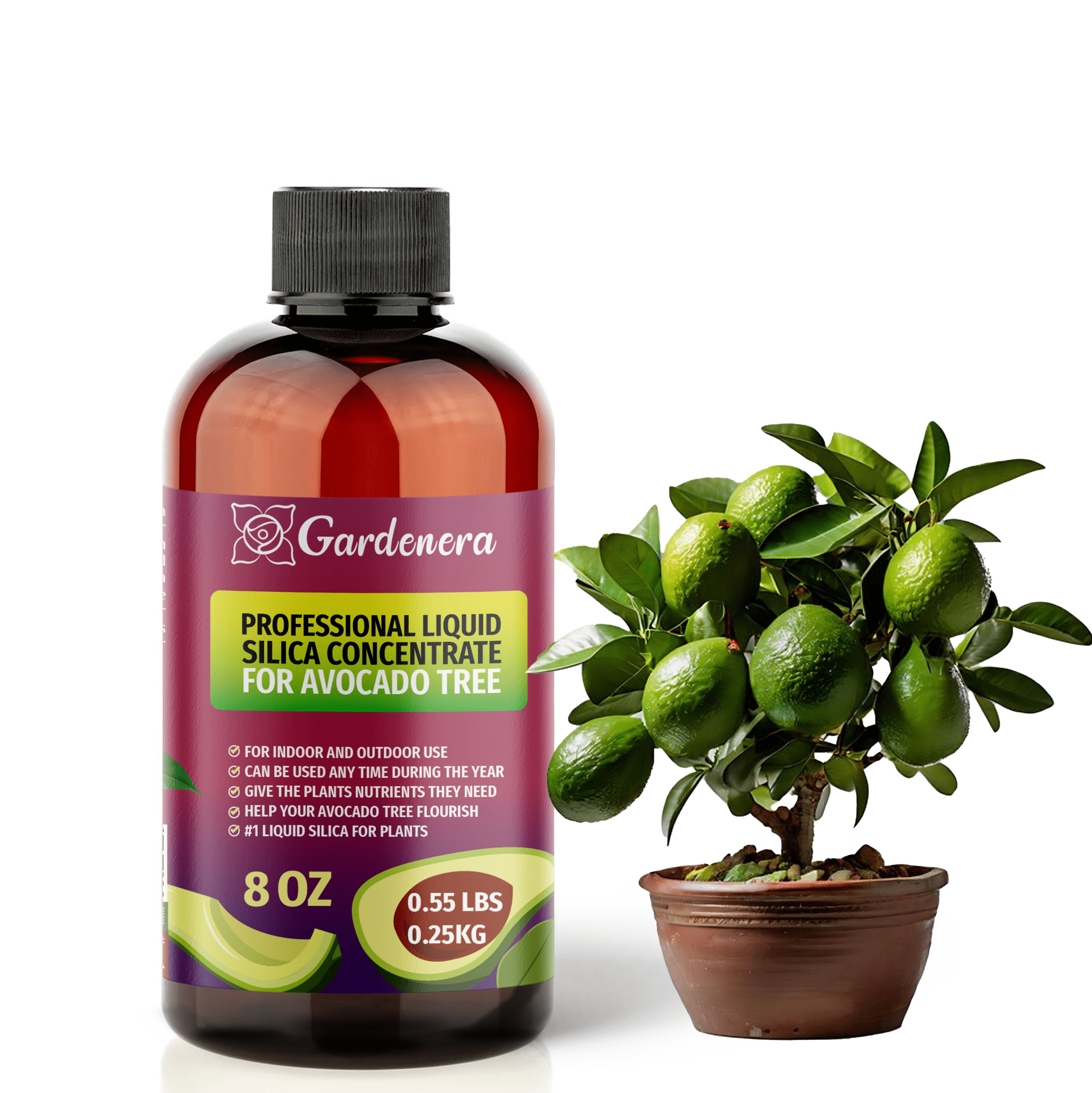 ⭐ PREMIUM Bioavailable Silica Fertilizer for Avocado Tree – 8oz – Ideal ...