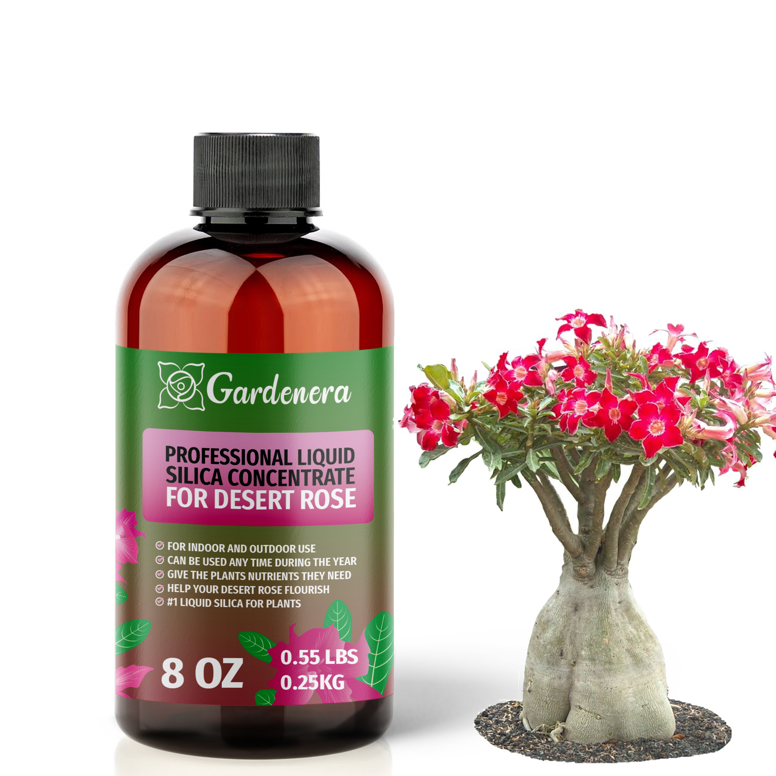⭐ PREMIUM Bioavailable Silica Fertilizer for Desert Rose – 8oz – Ideal ...