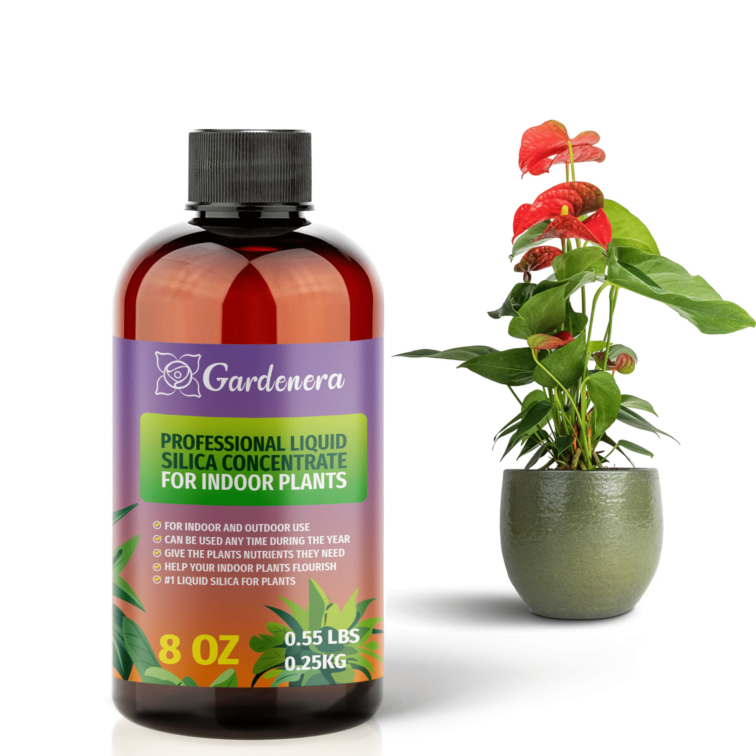 ⭐ PREMIUM Bioavailable Silica Fertilizer for Indoor Plants – 8oz ...