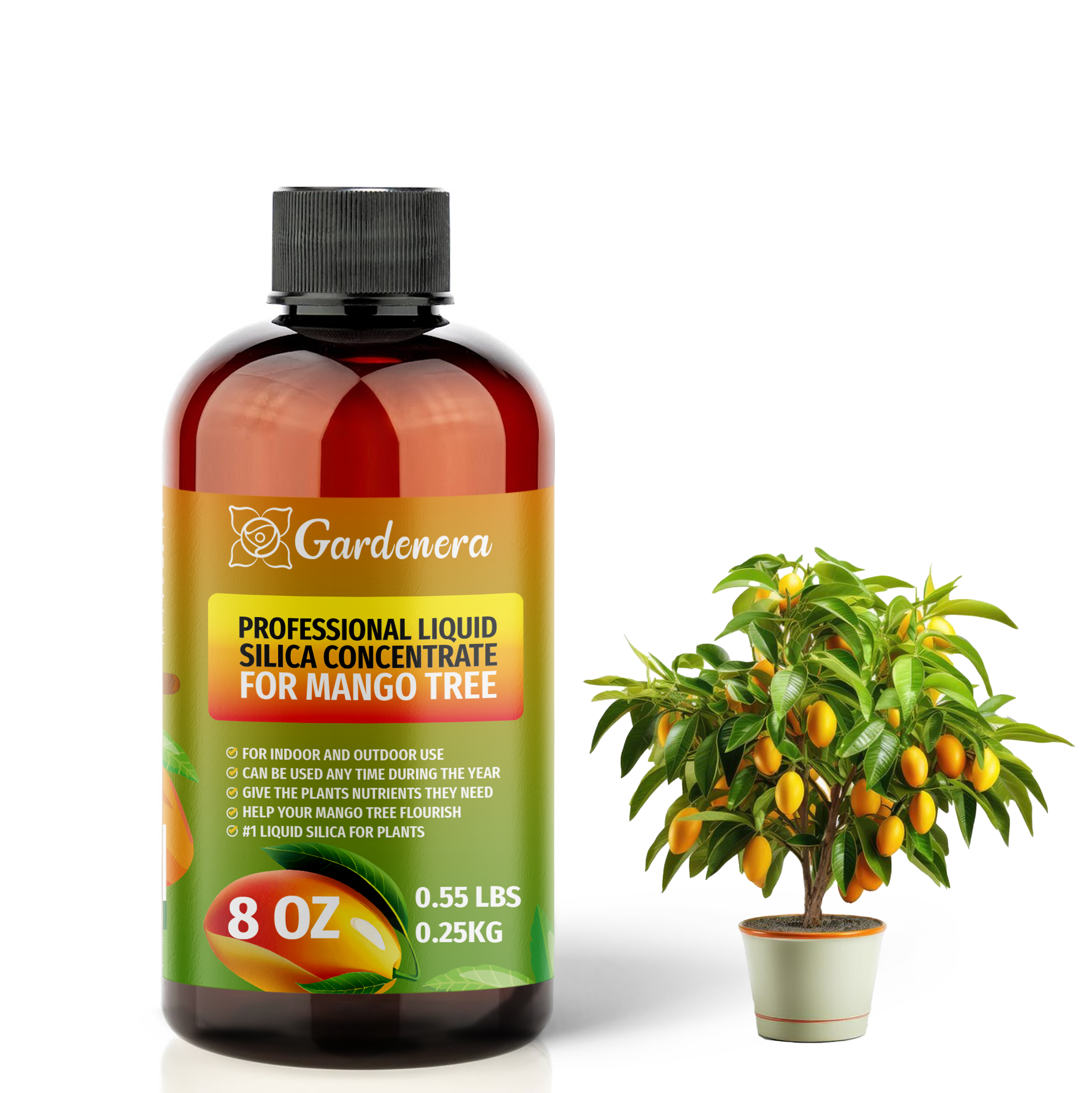 ⭐ PREMIUM Bioavailable Silica Fertilizer for Mango Tree – 8oz – Ideal ...