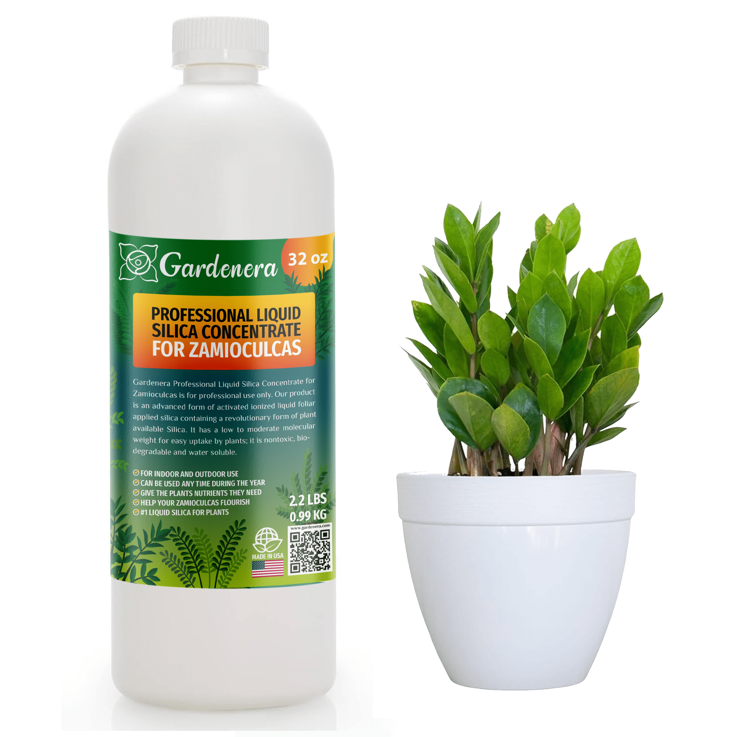 ⭐ PREMIUM Bioavailable Silica Fertilizer for Zamioculcas – 32oz – Ideal ...