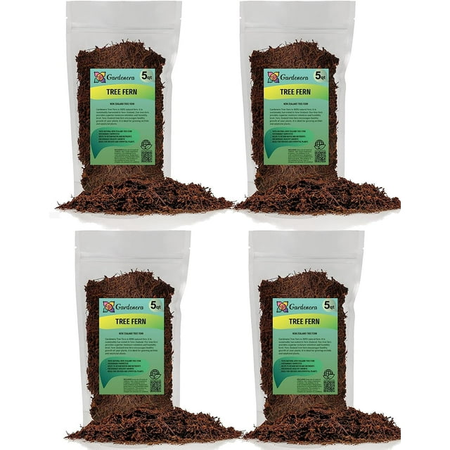 ⭐ PREMIUM New Zealand Tree Fern - Orchid and Epiphytal Plants Growing ...