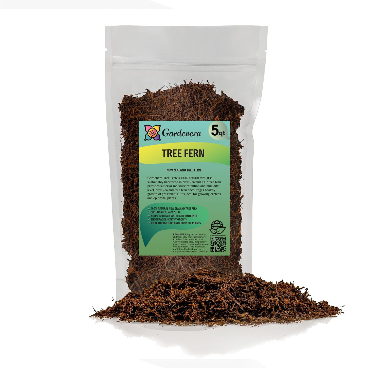 ⭐ PREMIUM New Zealand Tree Fern - Orchid and Epiphytal Plants Growing ...