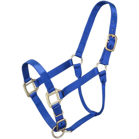 Tough1 Mule Tape Halter With 10ft Lead White - Walmart.com