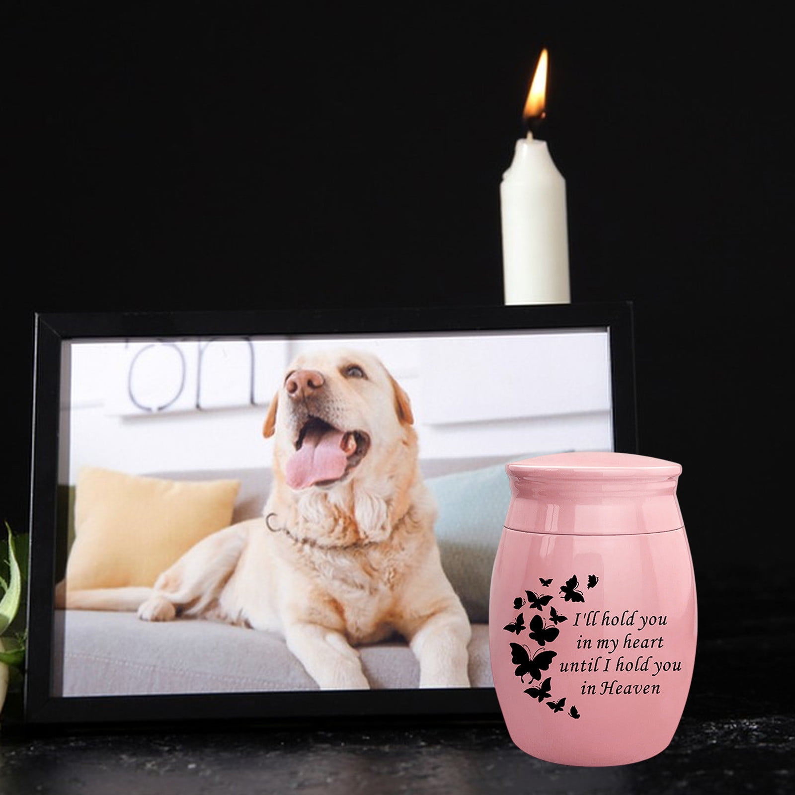 PRETXORVE Home Decor, Room Decor, Pet Remains Stainless Steel Ashes Urn ...
