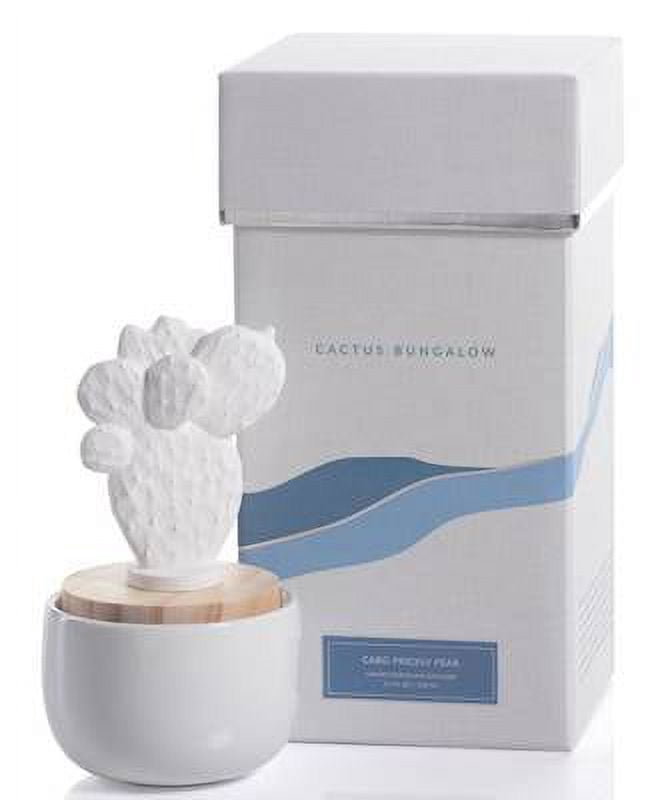 PRICKLY PEAR Cactus Bungalow Zodax Porcelain Diffuser - Walmart.com
