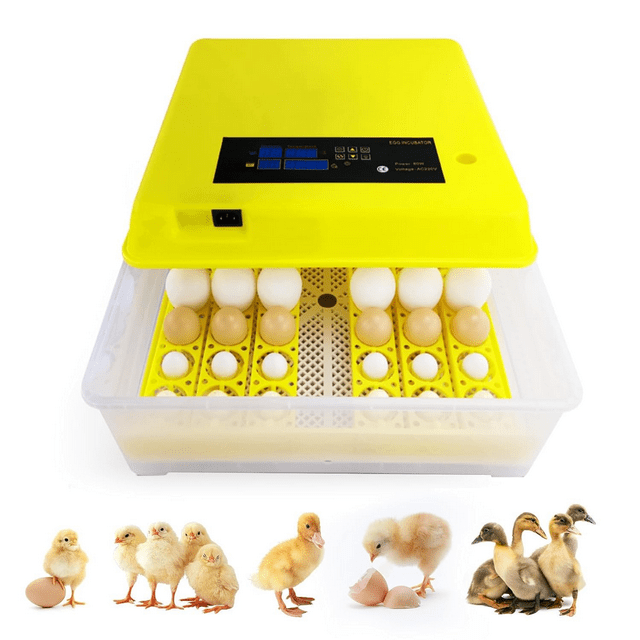 PRIJESSE 56 Egg Incubator 80W Automatic Egg Turning Digital Incubator with Temperature and ...