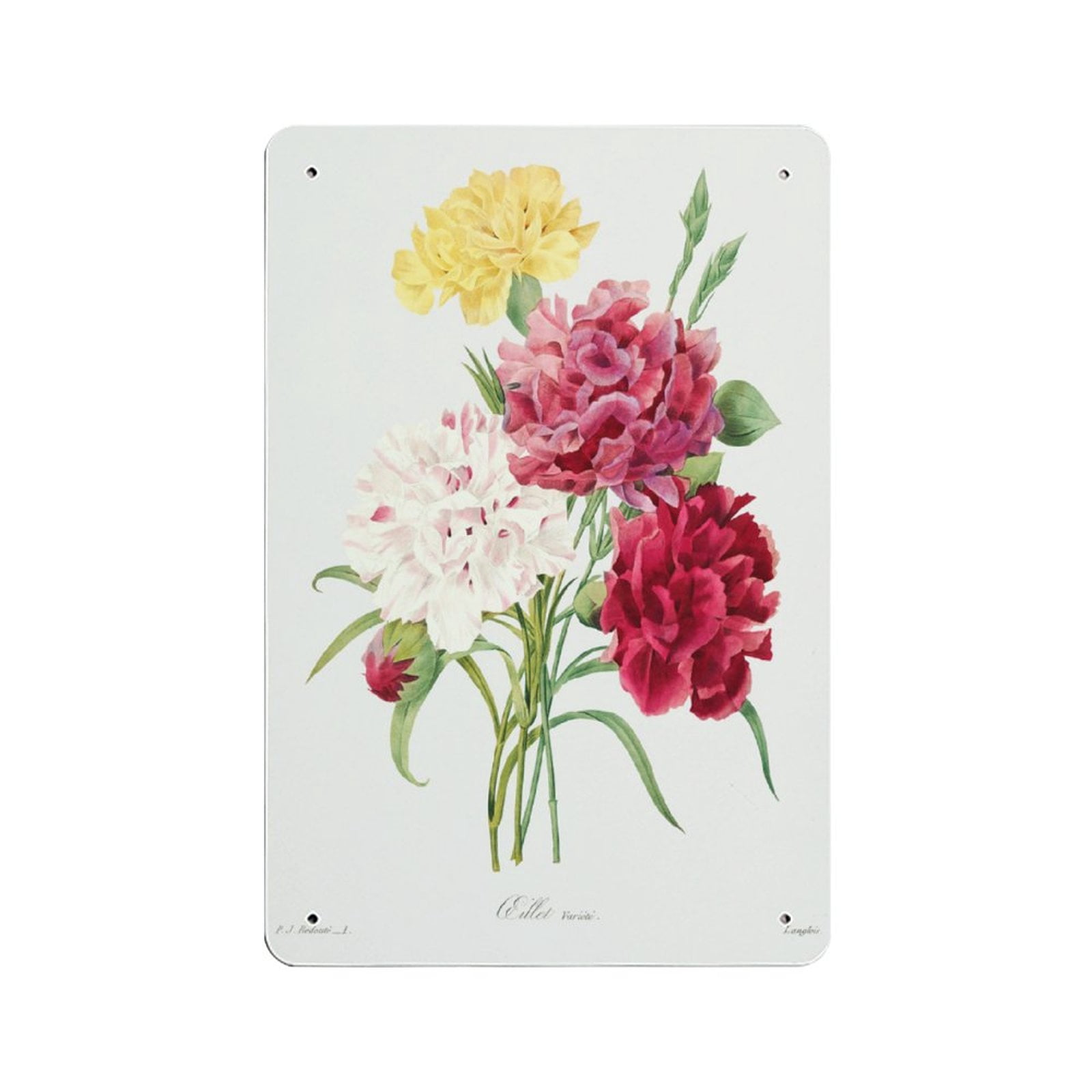 PRINTABLE WALL ART Carnation Bouquet Flower tin sign, Wall Decor, Home ...