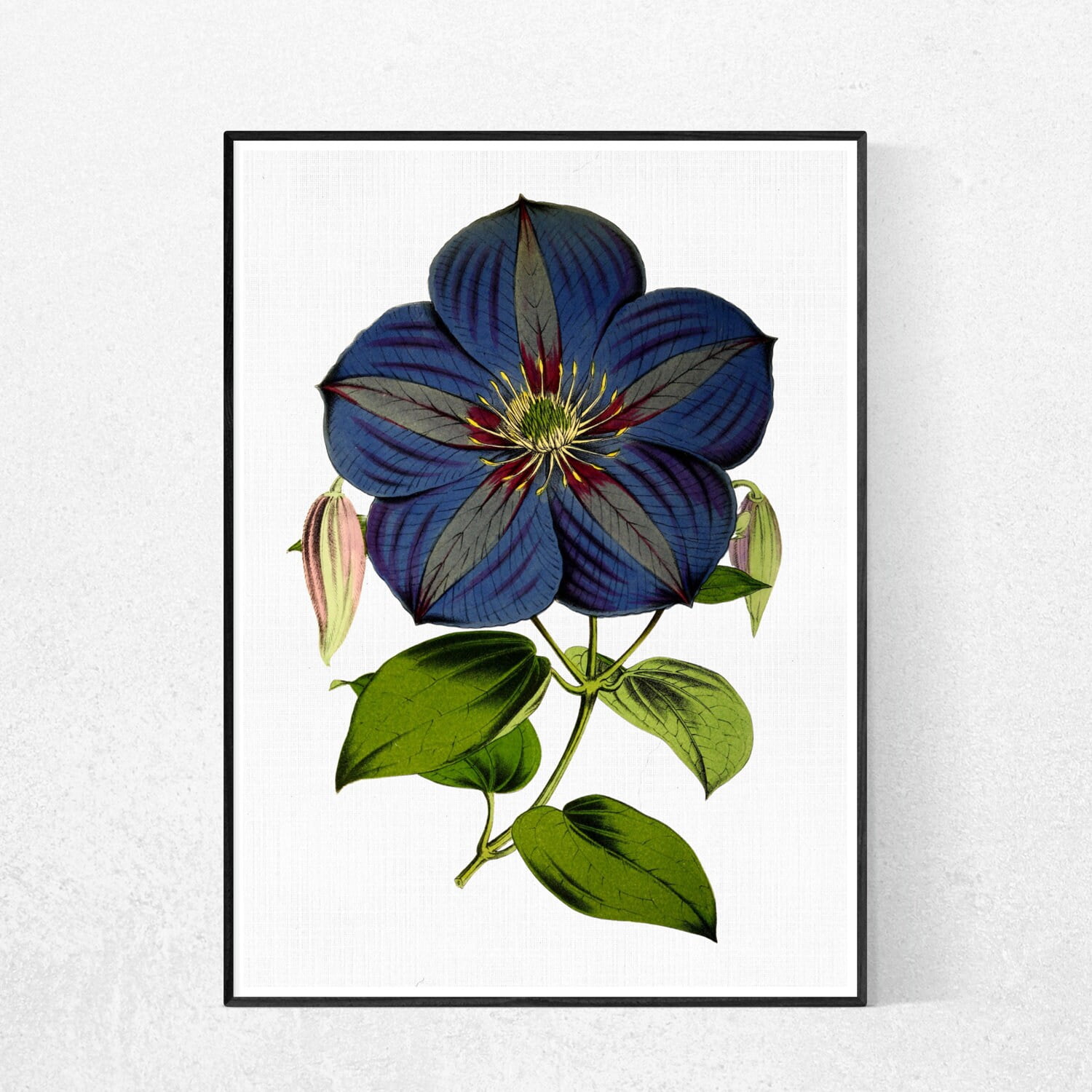 PRINTABLE WALL ART Clematis Flower Poster, Wall Decor, Home Decor ...