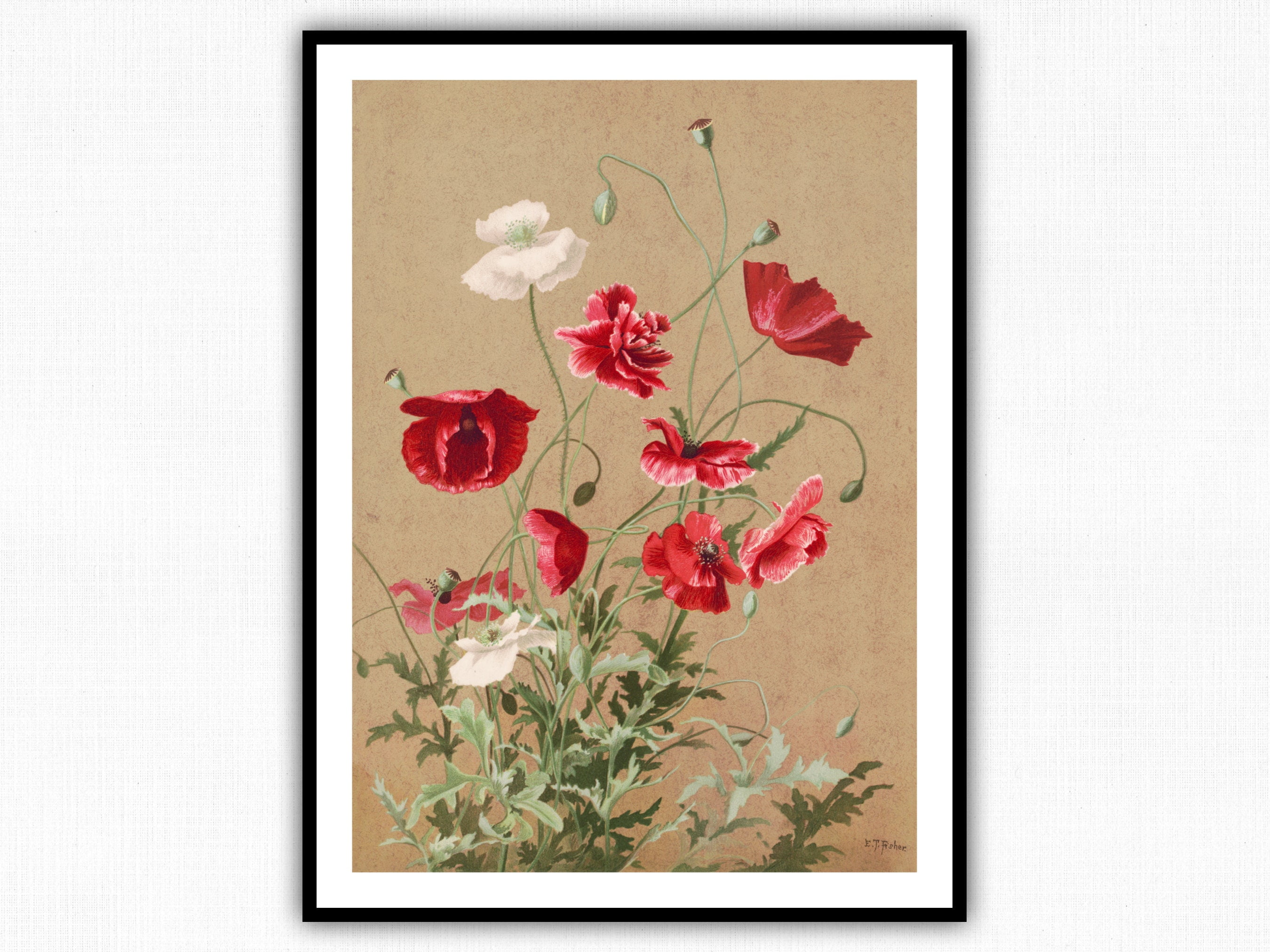 PRINTABLE WALL ART "Multicolor Poppies" Flower Poster, Wall Decor, Home ...